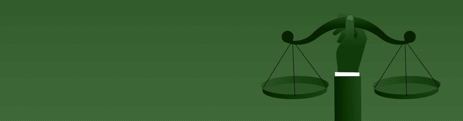 A Sustainable Future: Amy Rose, ClientEarth, on How the Courts are ...